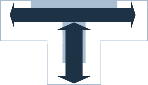 Discover the feasible T-shape development of an Architect | Blog of ...